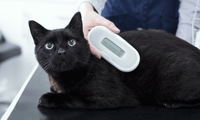 US company launches thermo microchip in UK | Post